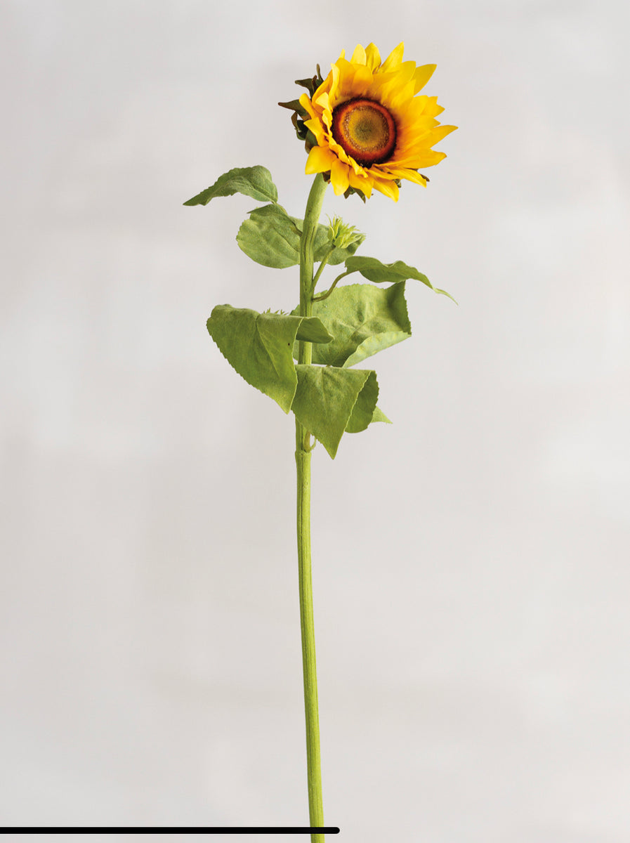Sunflower – Signature Finishes